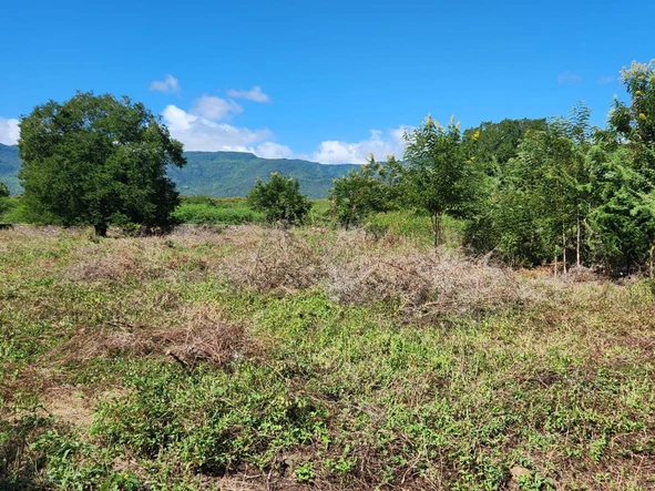 Residential Land for Sale in Tamarin | RPM255732