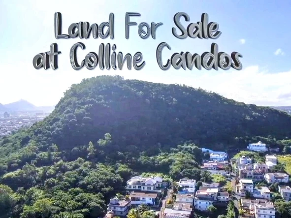 Terrains à Vendre à Candos | gsqr286370